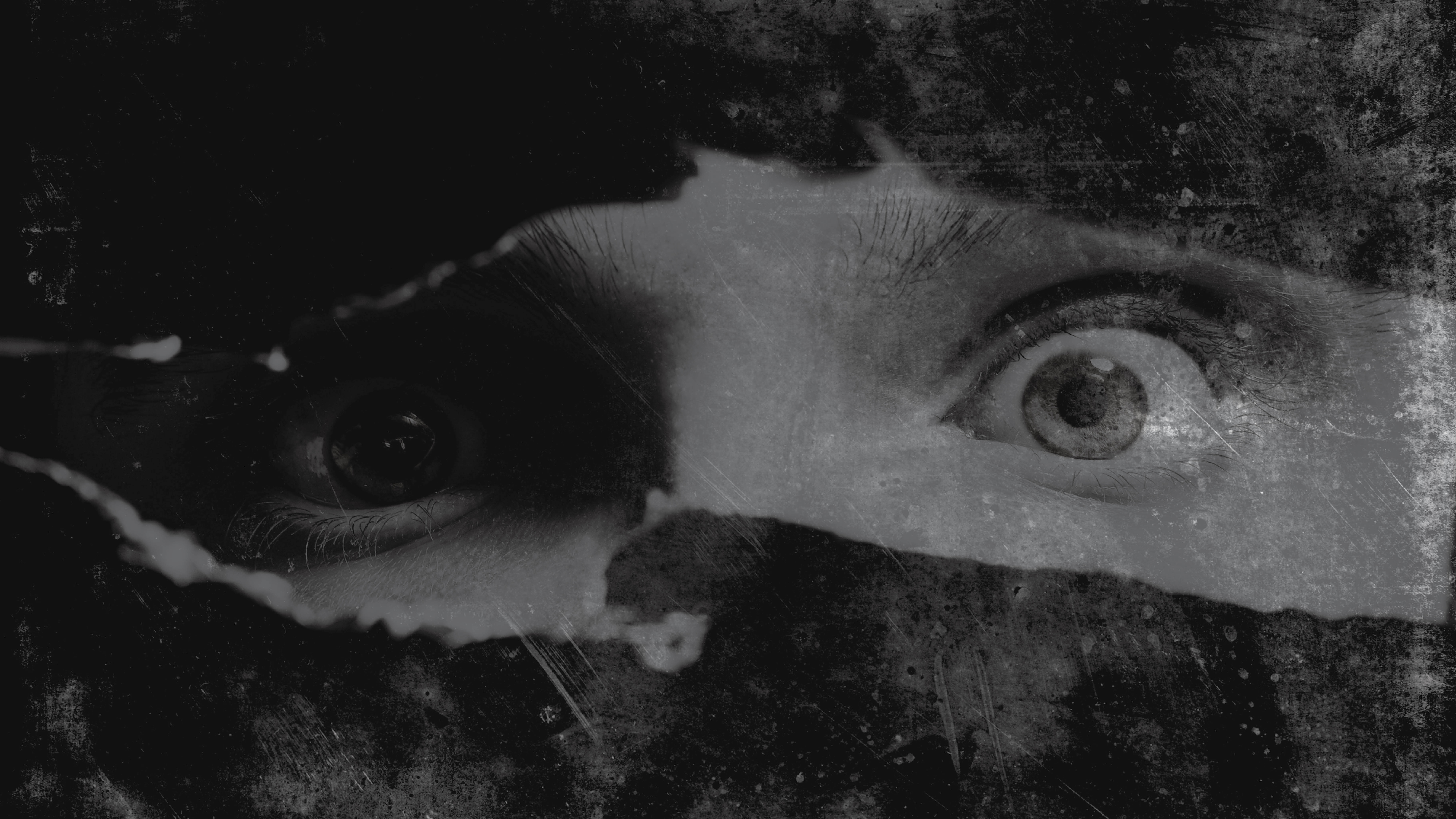 Erasmus Huis - Events - Indonesia | The Netherlands and Indonesia