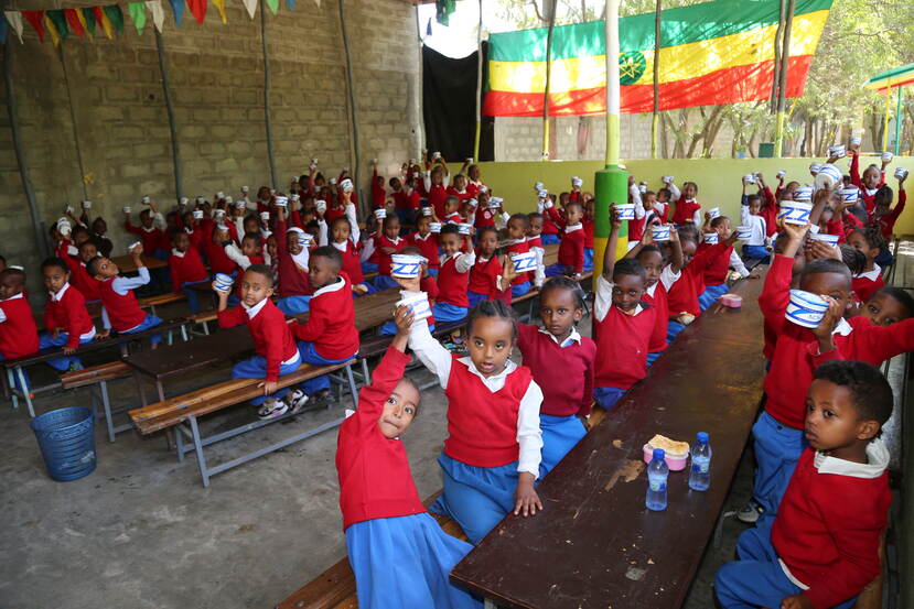 Food and nutrition security - Ethiopia | The Netherlands and Ethiopia