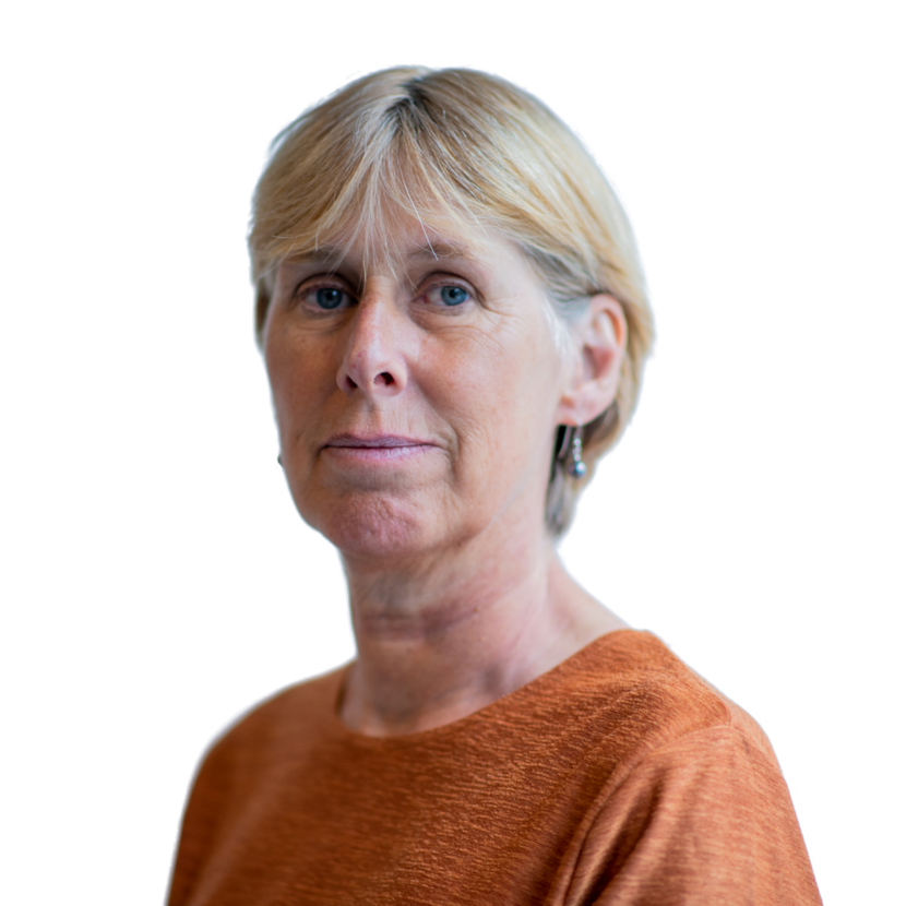 Consul-general Cape Town - South Africa | The Netherlands and South Africa