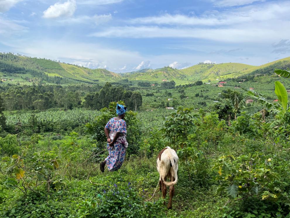 Home - Uganda | The Netherlands and Uganda