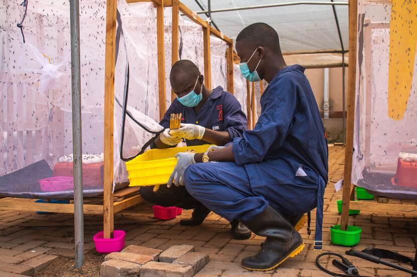 Sustainable Private Sector Development - Uganda | The Netherlands and ...